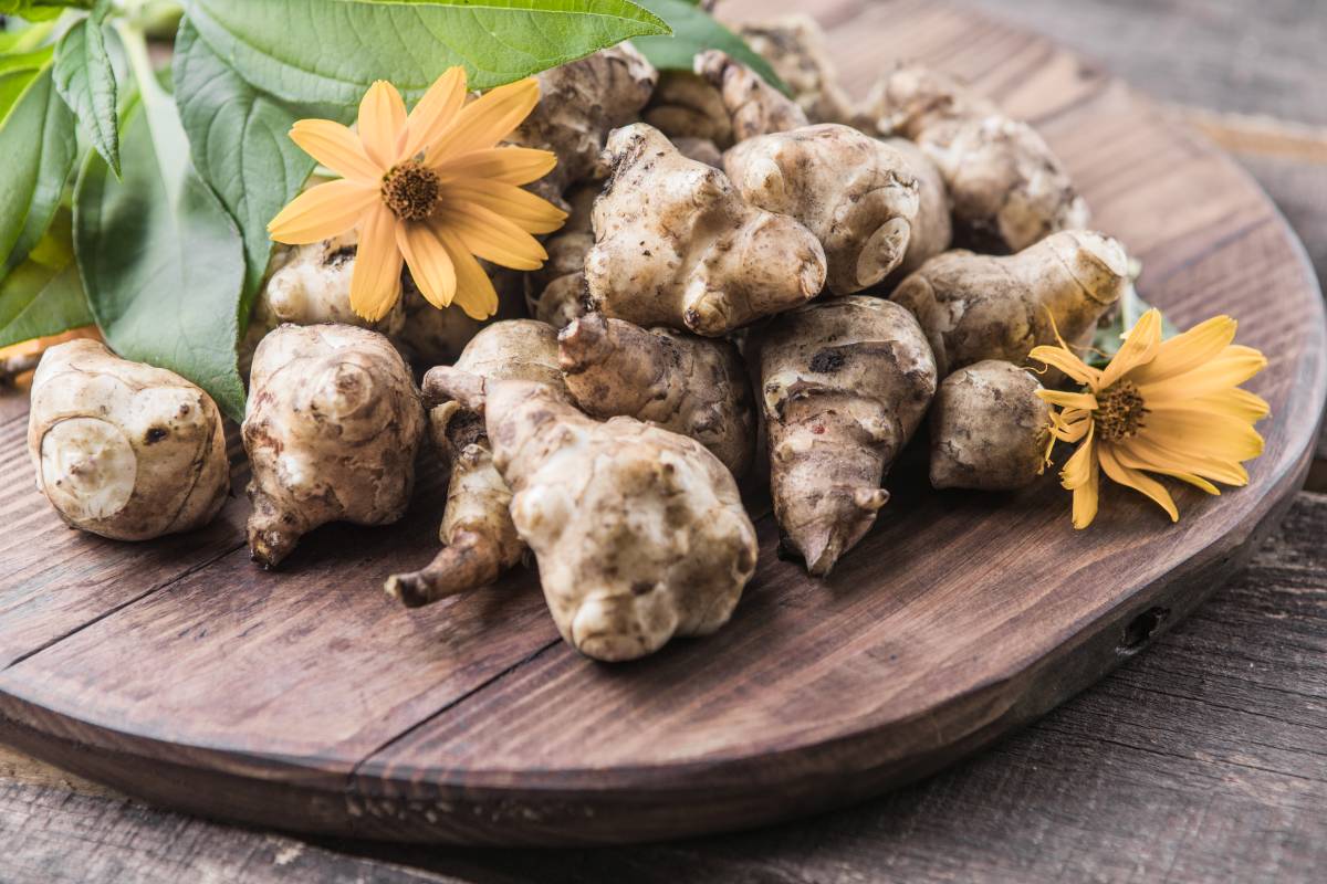 Uprawa topinamburu - kompletny poradnik | Egardenion